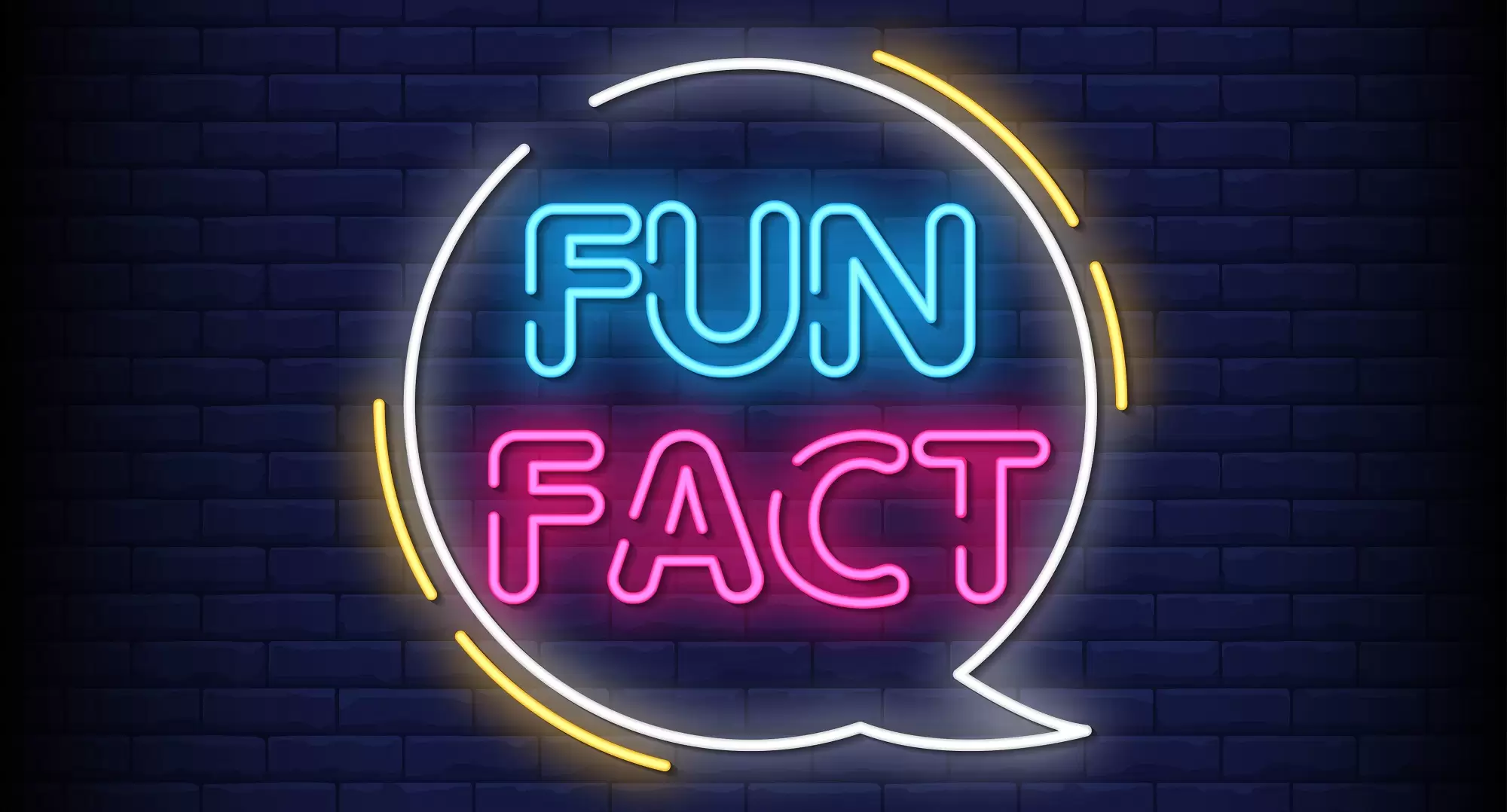 Curiosidades sobre la traducción - ITC Global
